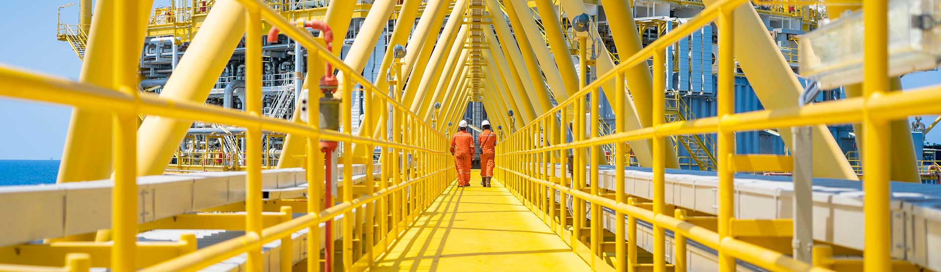 Protective Coating - The European Council of the Paint, Printing Ink ...